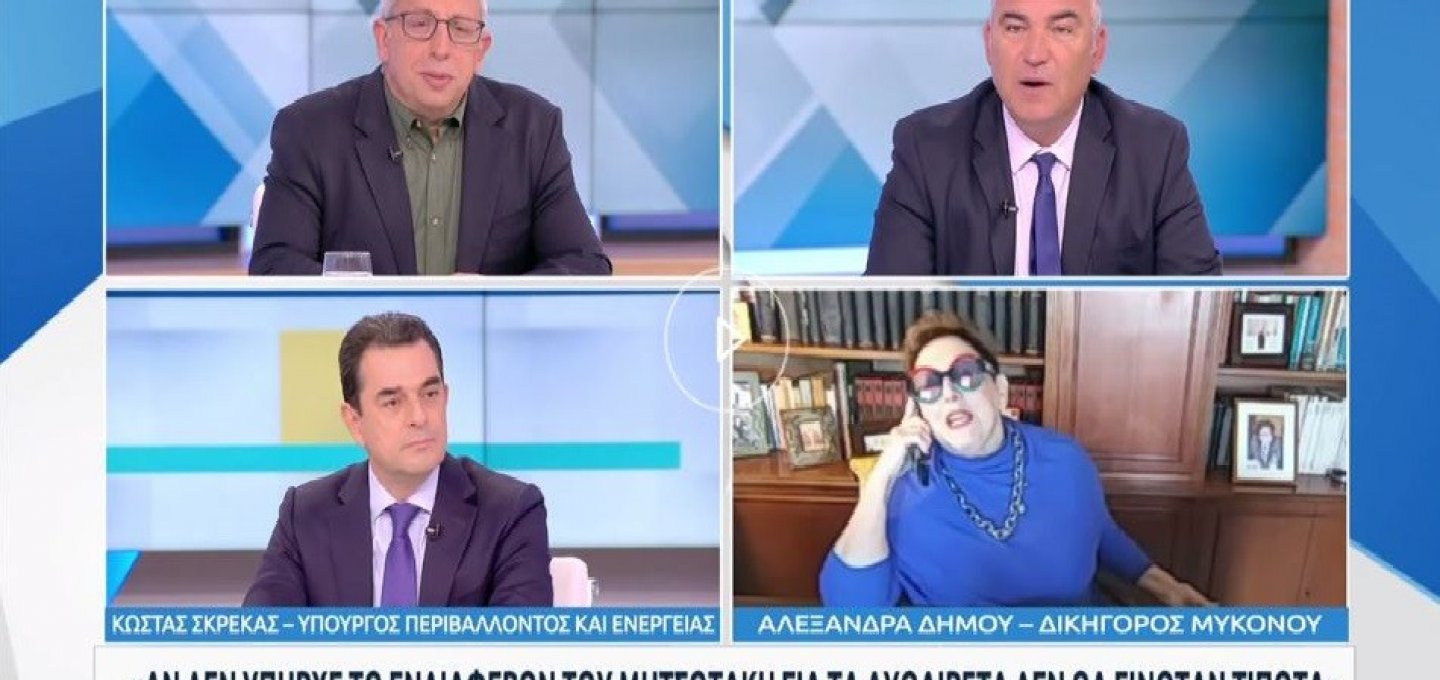 Αλεξάνδρα (Αλέκα) Δήμου στον Skai: Αν δεν υπήρχε το ενδιαφέρον του ...